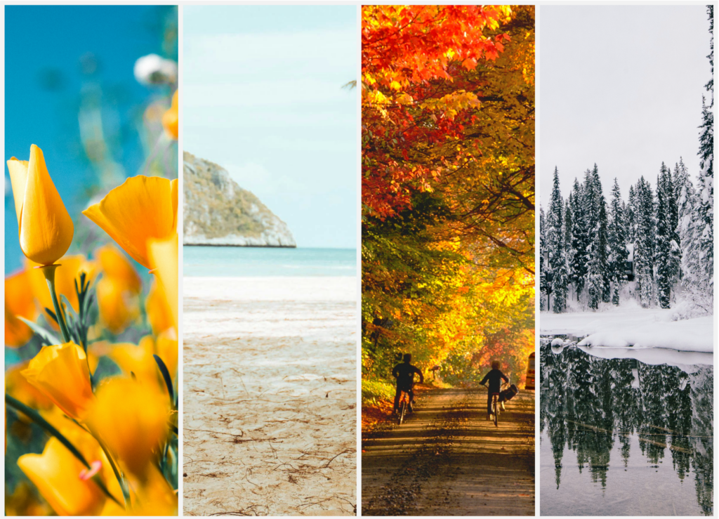 Seasonal Financial Planning - Manchester Capital Management
